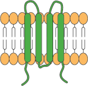 Membrane Protein Nanoparticles - Conigen Bioscience